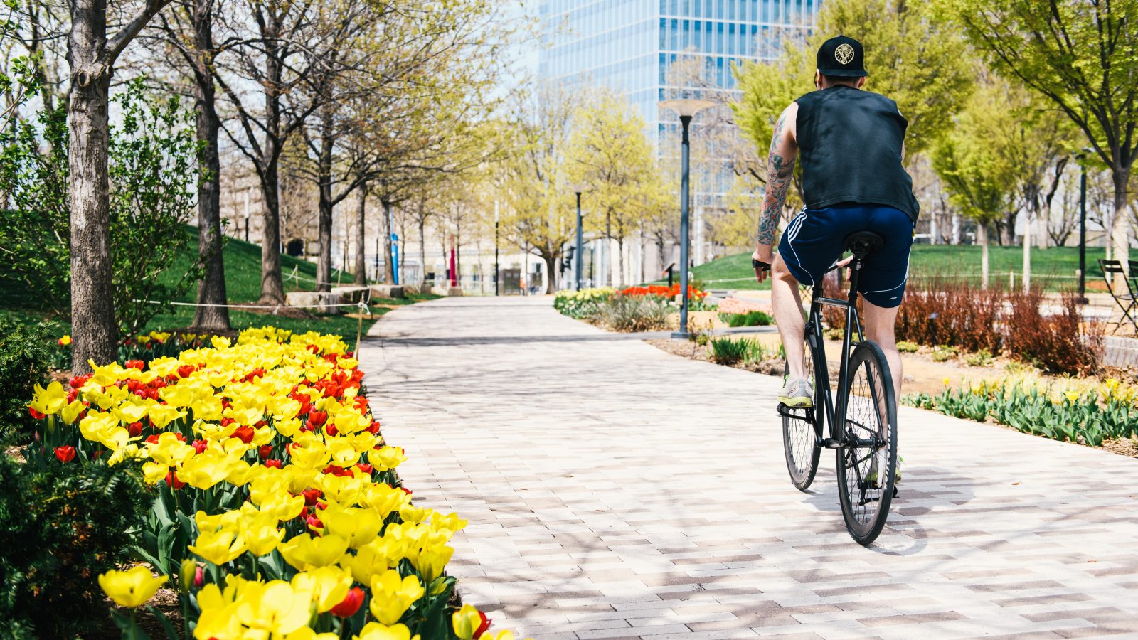 The Bower Photo Gallery