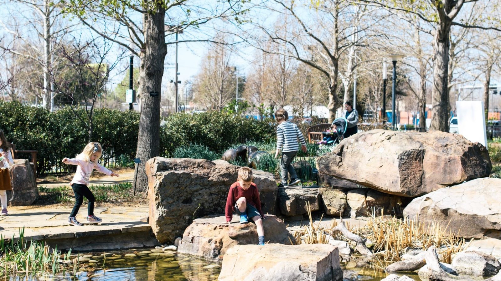 The Bower Photo Gallery